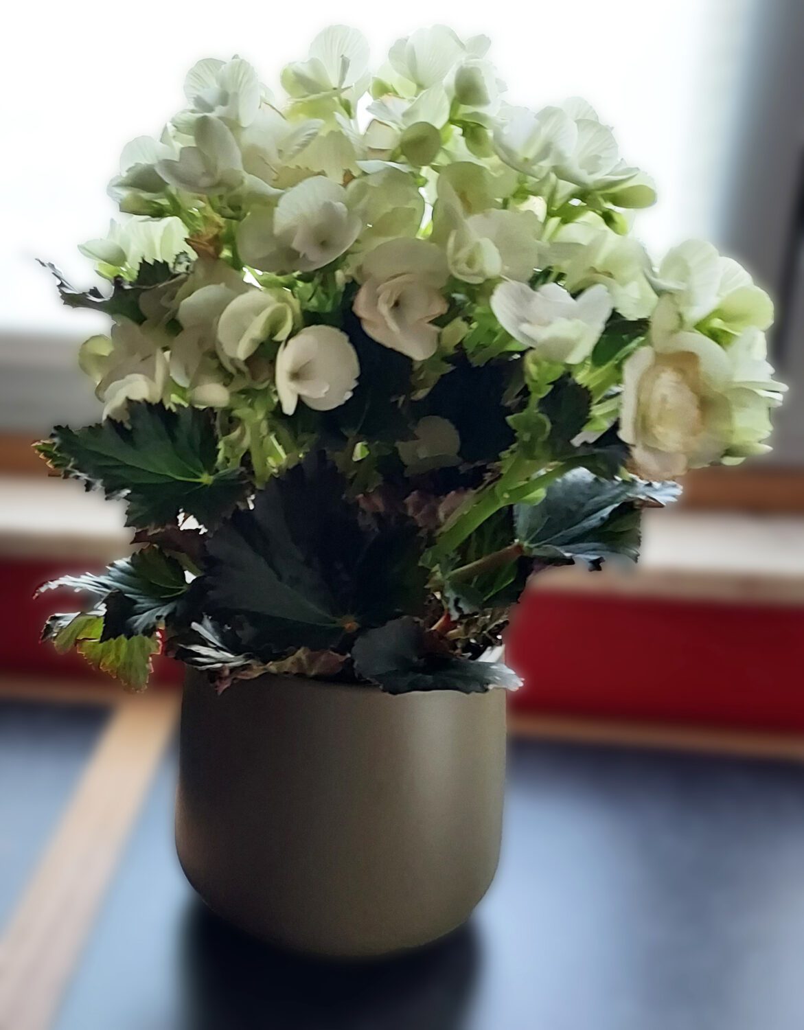 25 mei 2023 - Dimitri Van Overloop | UITVAARTZORG BRYS UITVAART MET STIJL